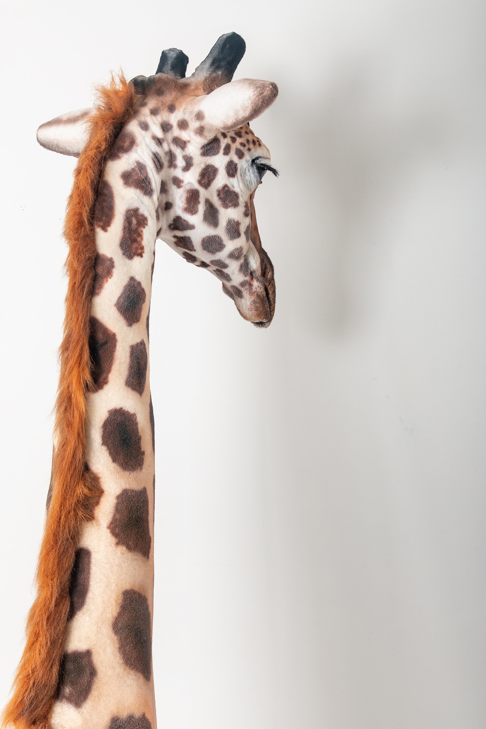 Faux Taxidermy Giraffe - Etsy