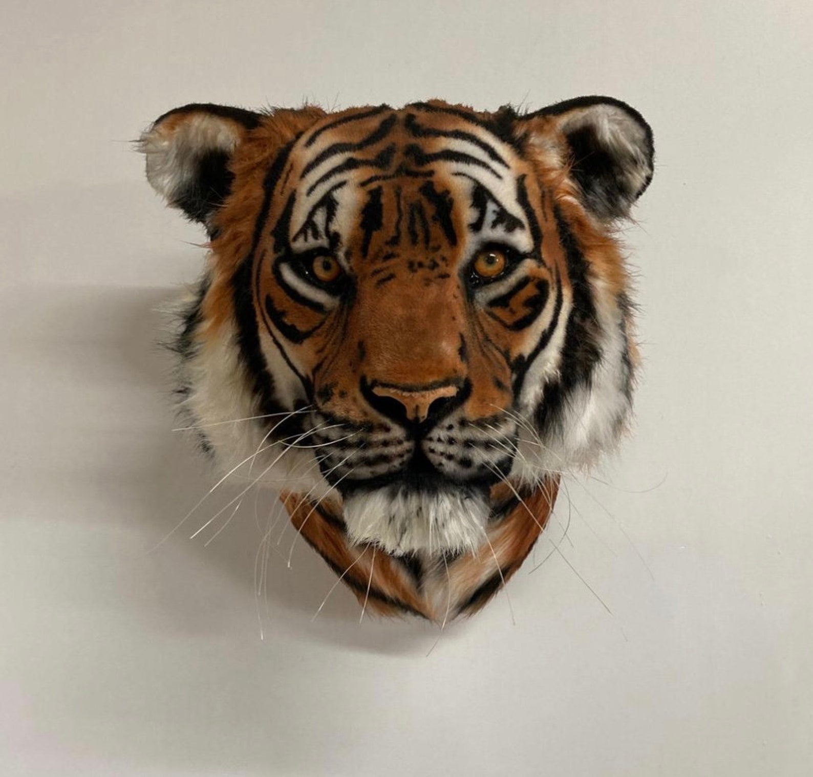 Faux Taxidermy Tiger - Etsy