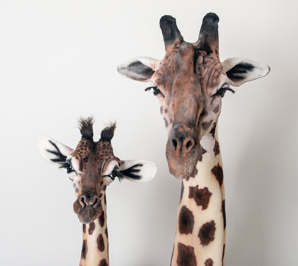 Faux Taxidermy Giraffe - Etsy