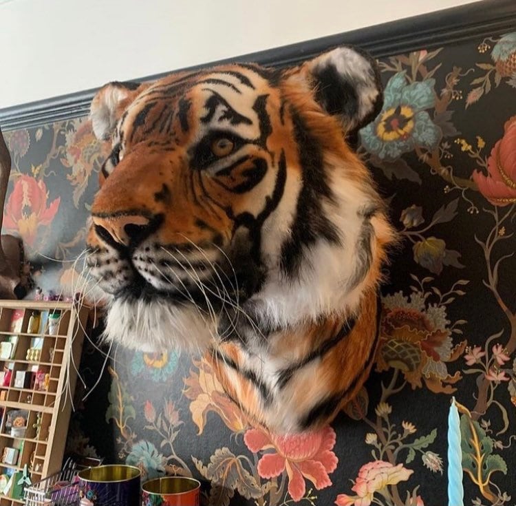 Faux Taxidermy Tiger - Etsy