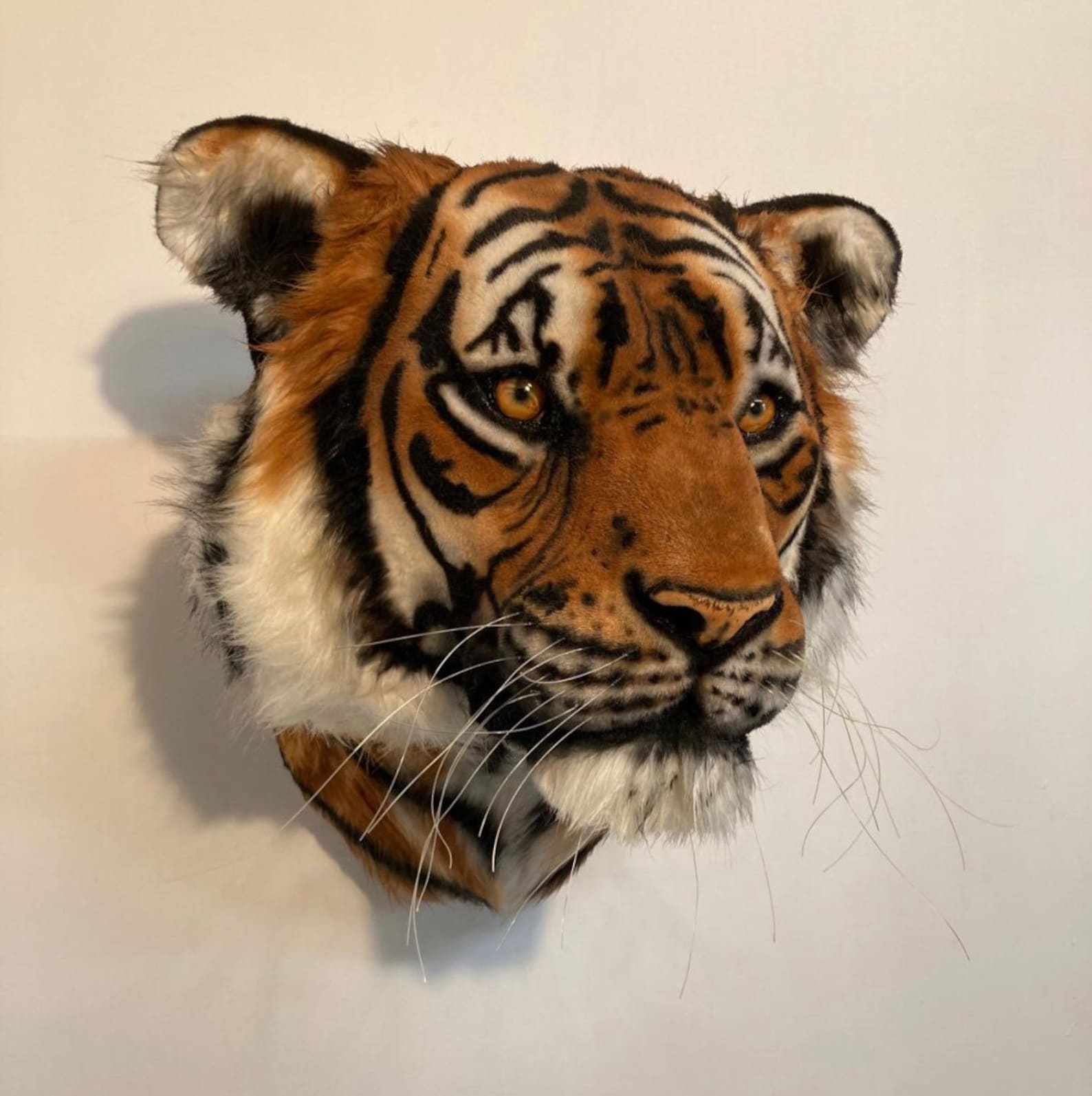 Faux Taxidermy Tiger - Etsy