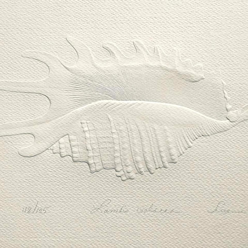 Bas Relief Wall Art - Etsy