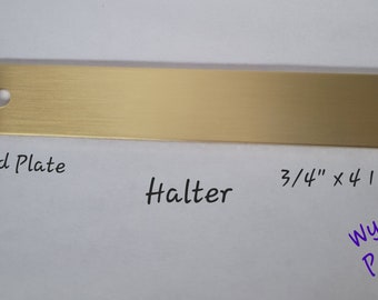 HALTER PLATE Notched 4.5x 3/4 BRASS Custom Engraved Halter Brow Name ...