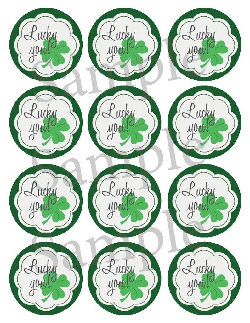 Printable St. Patrick's Day Mason Jar Label Lucky You - Etsy