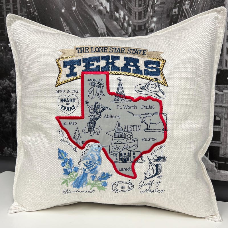 Texas Pillow - Etsy