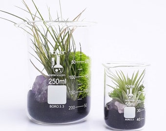 Science Beaker | Etsy