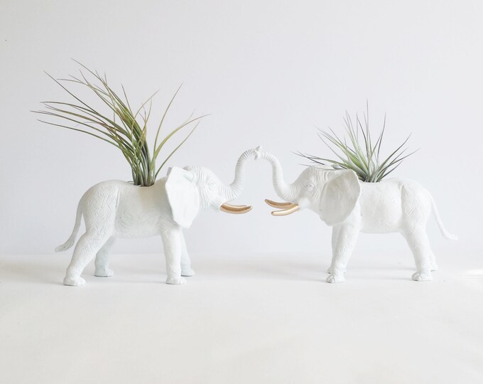 Elephant Planters // Air Plant Terrariums // White Elephants - Etsy
