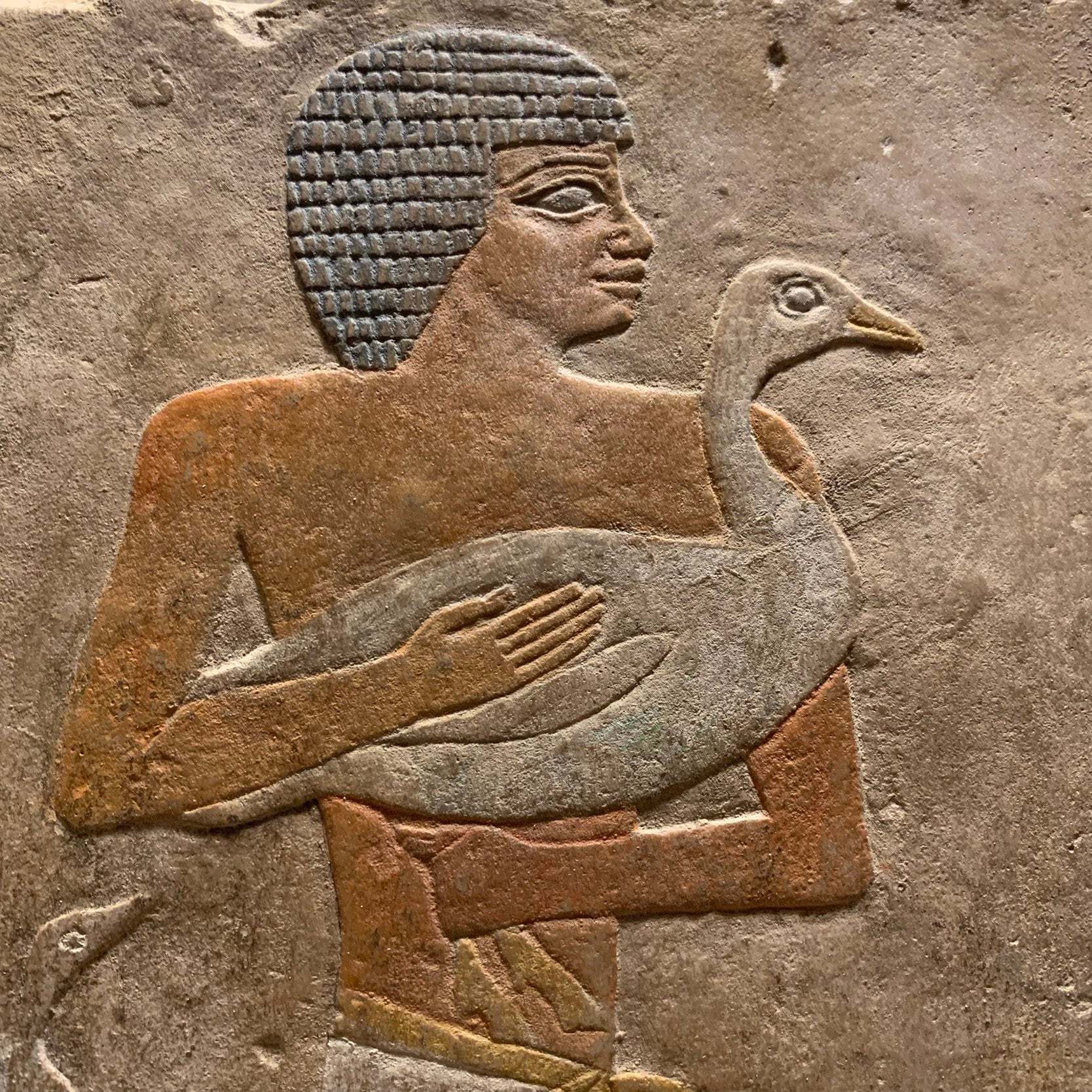 Egyptian relief 5th dynasty offering bearer