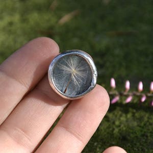Real Dandelion Ring Statement Ring Terrarium Adjustable Ring Boho Ring ...