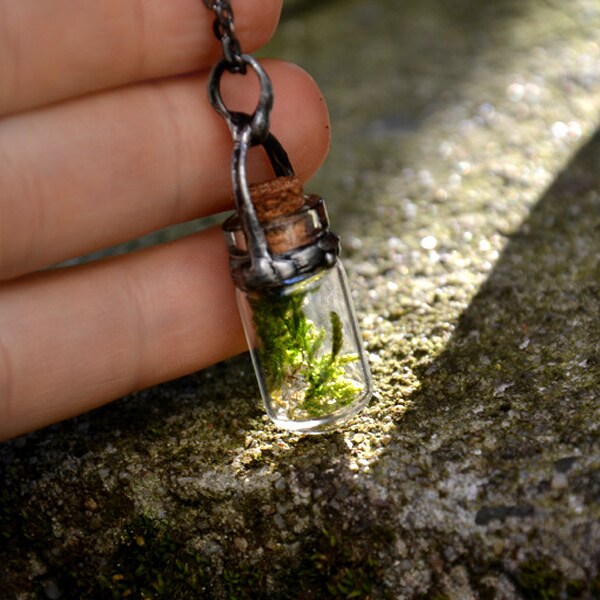 Terrarium Necklace - Etsy