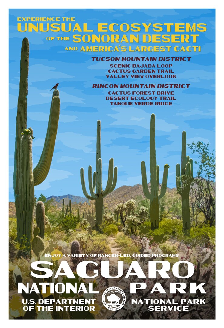 Saguaro National Park WPA Style Poster, Sonoran Desert Photography ...