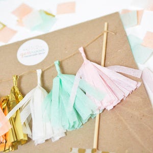 Classic Pastel Tassel Cake Topper, Tassel Garland, First Birthday ...