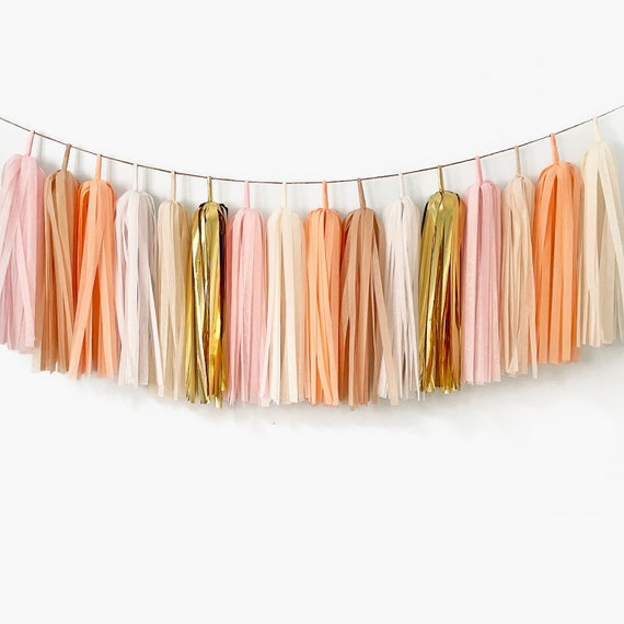 Gold Blush Tassel Garland Assembled Peach Pink Blush Party Decor Bohemian Wedding Backdrop Bridal Shower Baby Shower Baby Girl Nursery