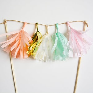 Classic Pastel Tassel Cake Topper, Tassel Garland, First Birthday ...