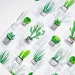 Cactus Tissue Paper, Kids Craft Supplies, Cactus Paper, Cactus Gift ...