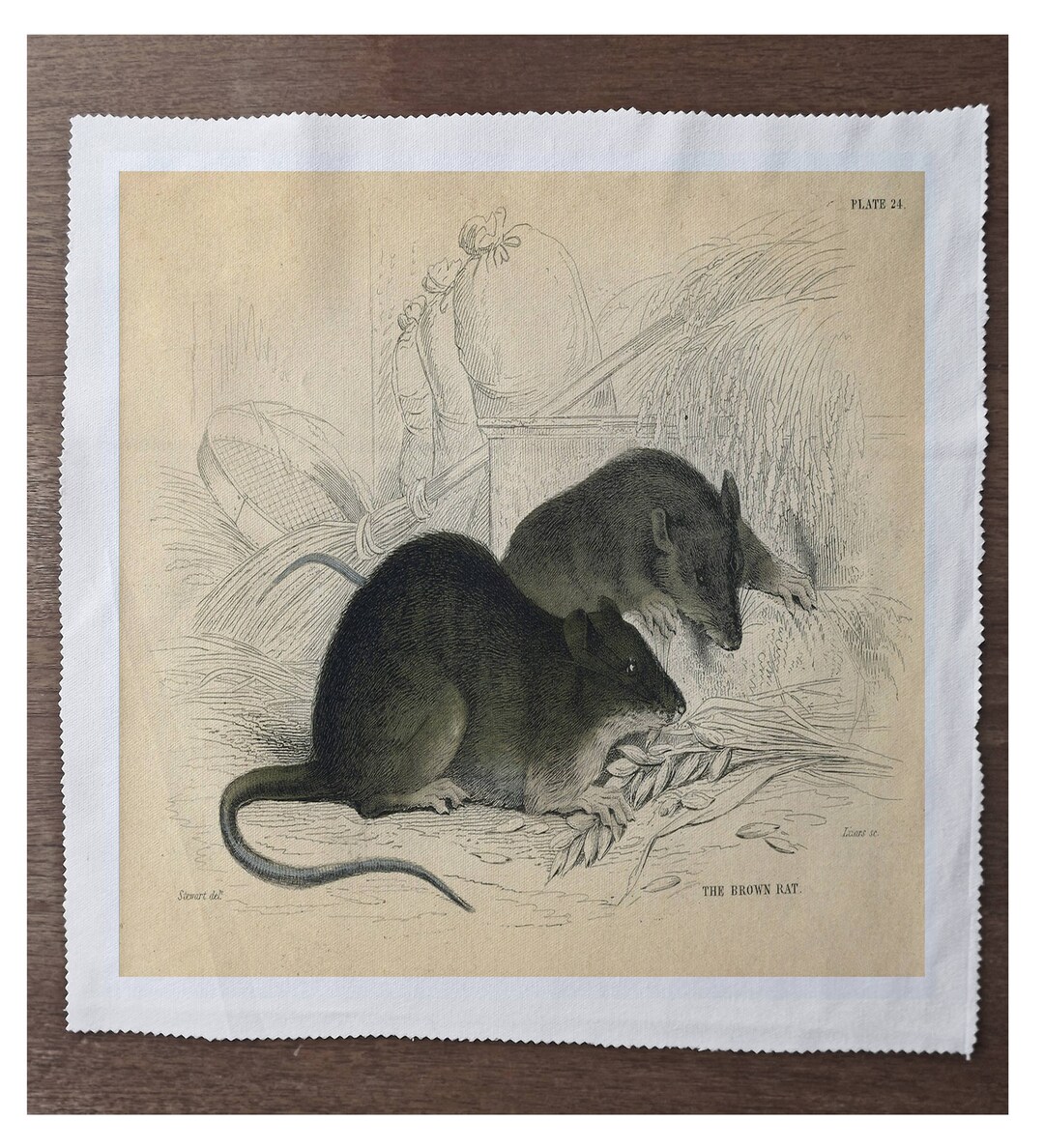 Rat Vintage Botanical - Sewing, Cushion, Upholstery, Craft, Patchwork ...