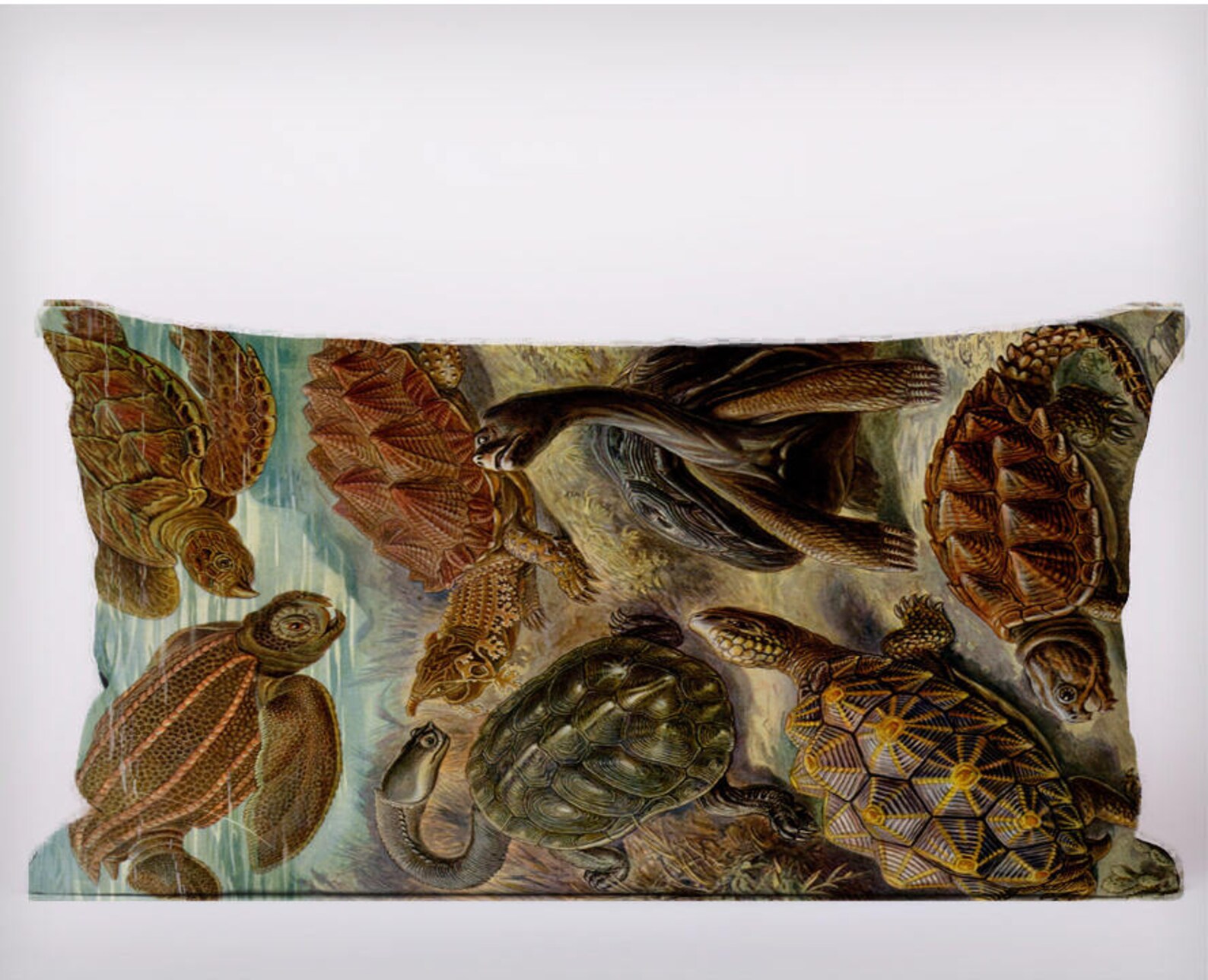 Turtle tortoise Vintage Animal Cushion Cover Case Or | Etsy