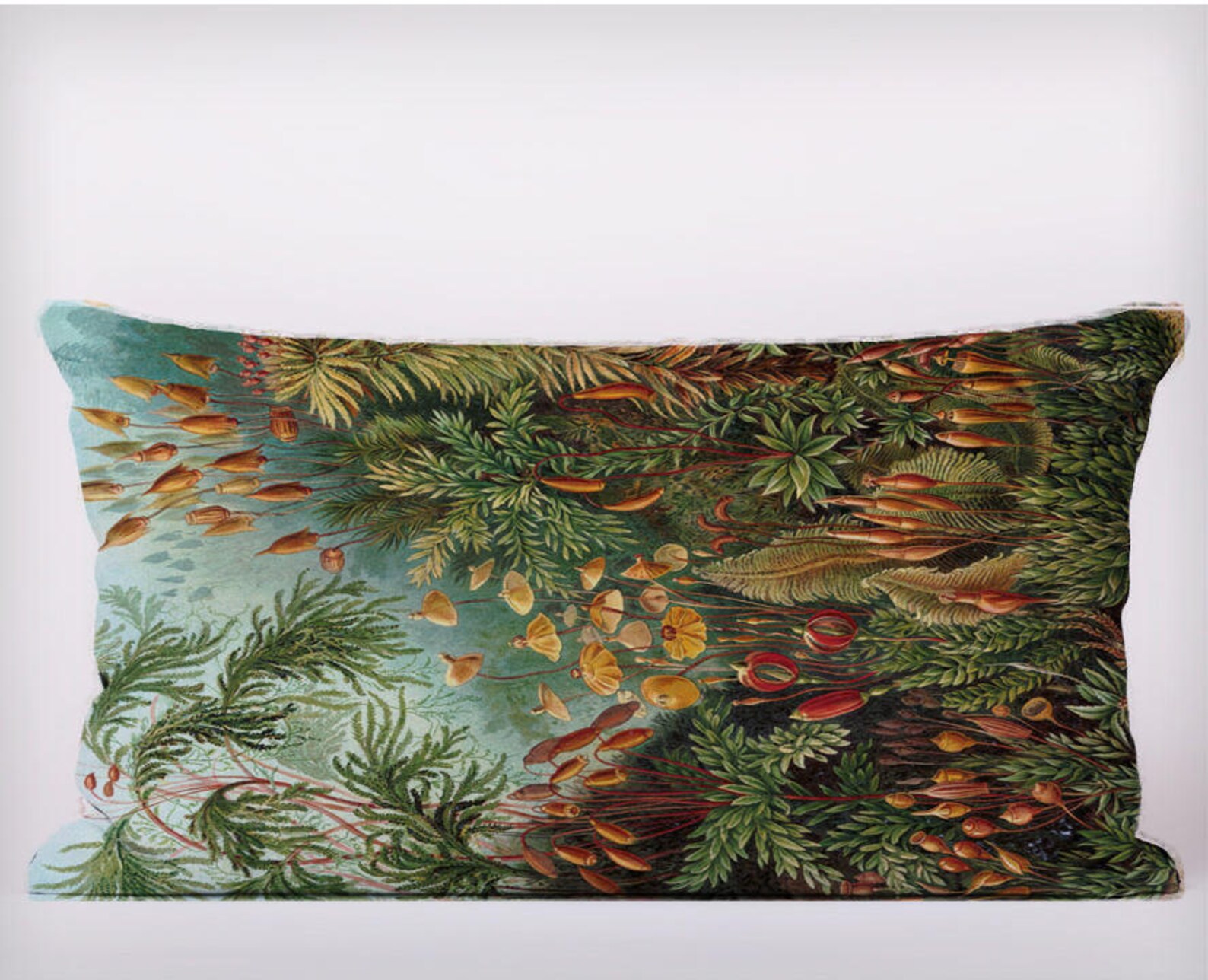 Vintage Flower Pattern Ernst Haeckel Illustration Can Be | Etsy