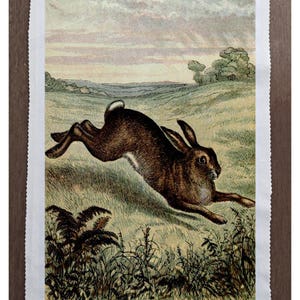 Vintage Hare Running Illustration - Sewing, Cushion, Upholstery, Craft ...