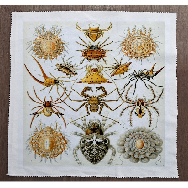 Upholstery Insect Fabric - Etsy