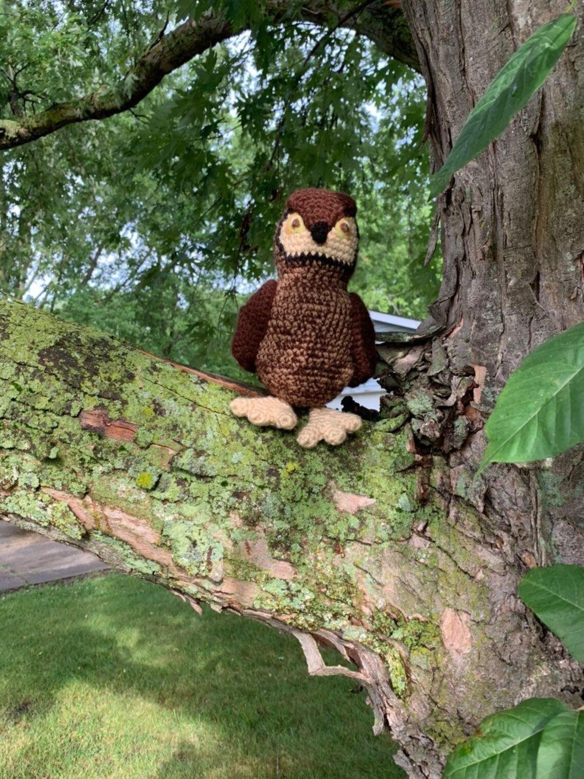 Onyx the Owl Crochet Pattern Advanced Beginner Owl Amigurumi - Etsy