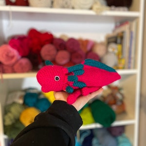 Addie the Dragon Fruit Axolotl Crochet Pattern | Cute & Beginner ...