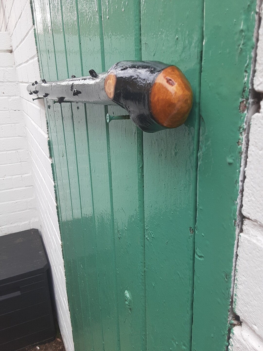 Irish Blackthorn Walking Stick 36 Inchs Long 2x2 Rootball Handle 500 ...