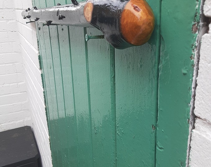 Irish Blackthorn Walking Stick 36 Inchs Long 2x2 Rootball Handle 500 ...