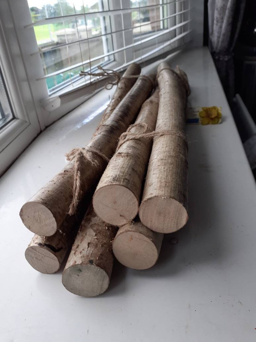 6 Hazel Wood Branches 23 Inchs Long 28mm in Diam - Etsy