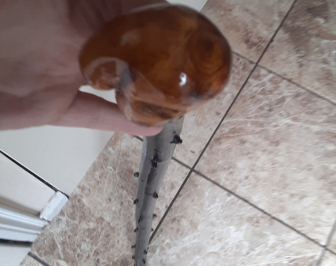 Irish Blackthorn Walking Stick 38 Inchs Long 2x2 Rootball Handle 400 ...