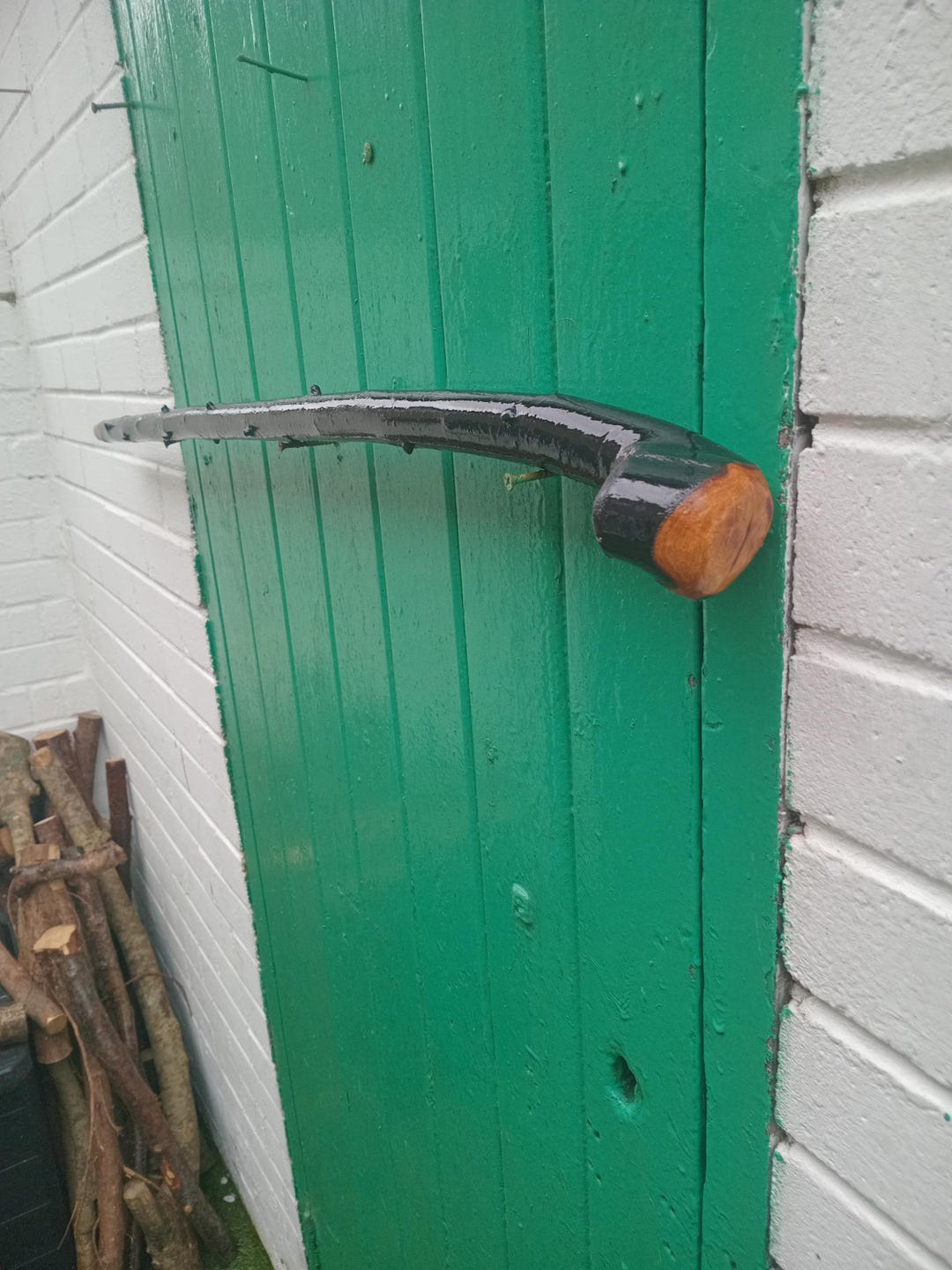 Irish Blackthorn Walking Stick 39 Inchs Long 2x2 Rootball Handle 400 ...