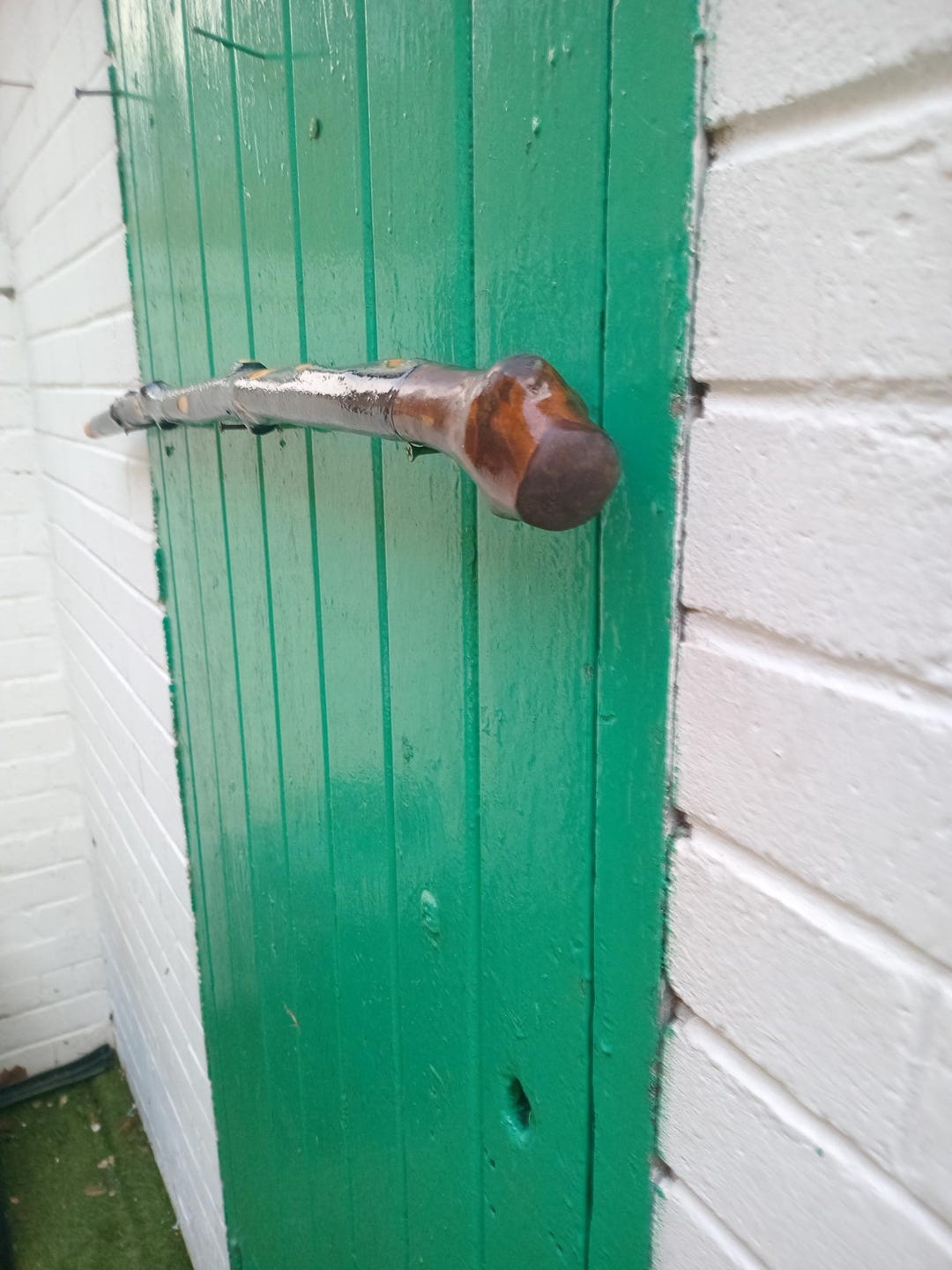 Irish Blackthorn Walking Stick 36 Inchs Long 2x2 Rootball Handle Full ...