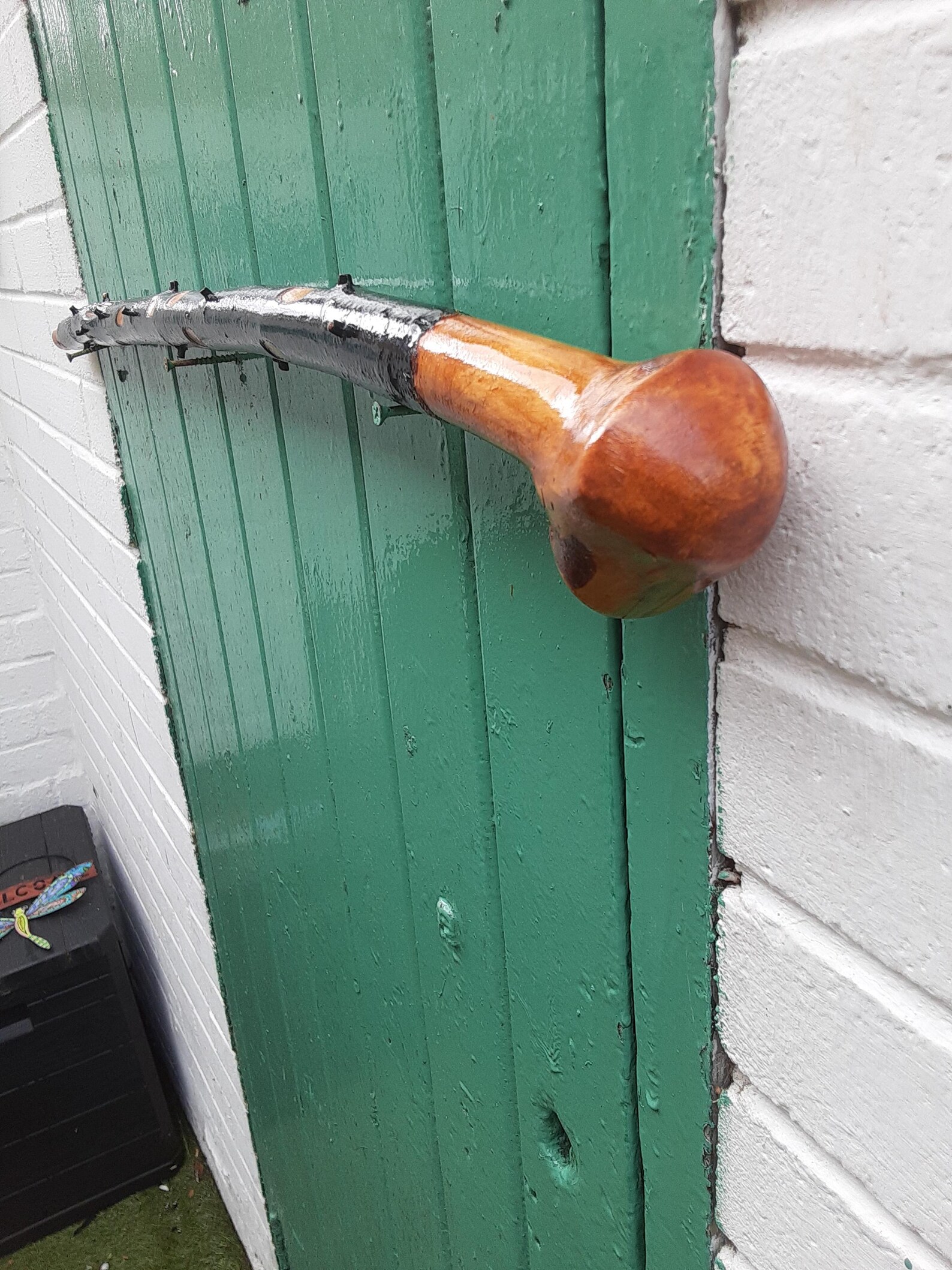 Irish Blackthorn Walking Stick 35 Inchs Long 3x2 Rootball Handle 500 ...