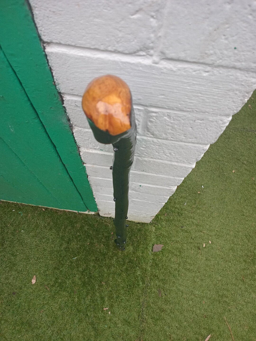 Irish Blackthorn Walking Stick 38 Inchs Long 600 Grms in Weight 2x2 ...