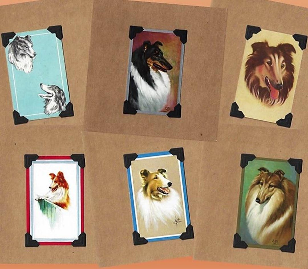 Beautiful Collies Blank Note/birthday Card Set #3 -*upcycled* Vintage ...