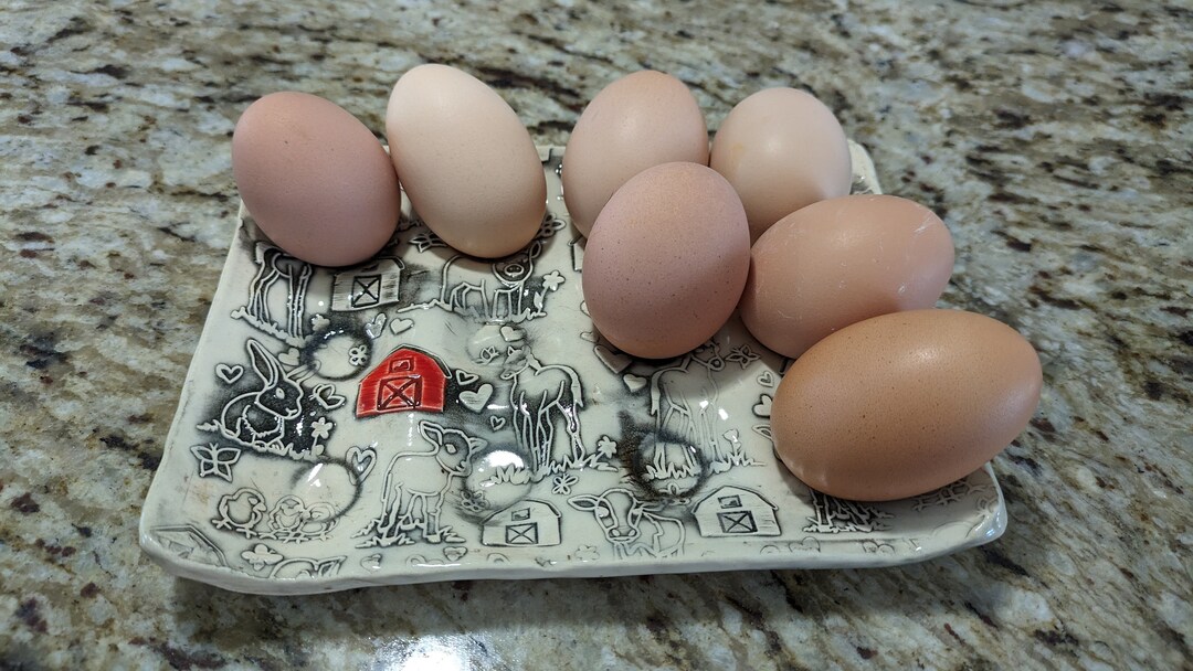 Farm Egg Tray, Ceramic Egg Crate Egg Holder Handmade Farm Barn, Cactus ...
