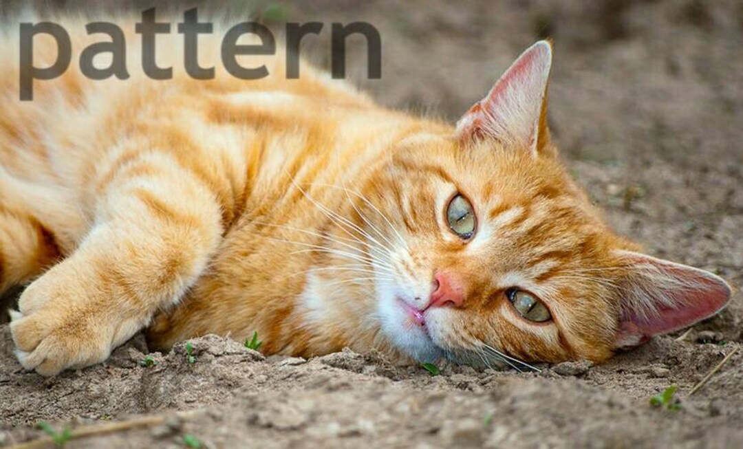 Orange Tabby Cross Stitch Pattern, Cross Stitch Pattern, Ginger Cat ...