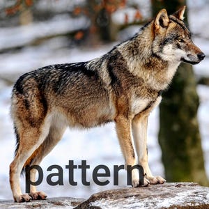 Timber Wolf Cross Stitch, Counted Cross Stitch, Wolf Pattern, Wildlife ...