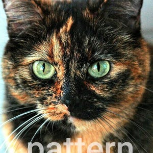 Tortoise Shell Cat Cross Stitch Pattern, Tortie Pattern, Pattern Keeper ...