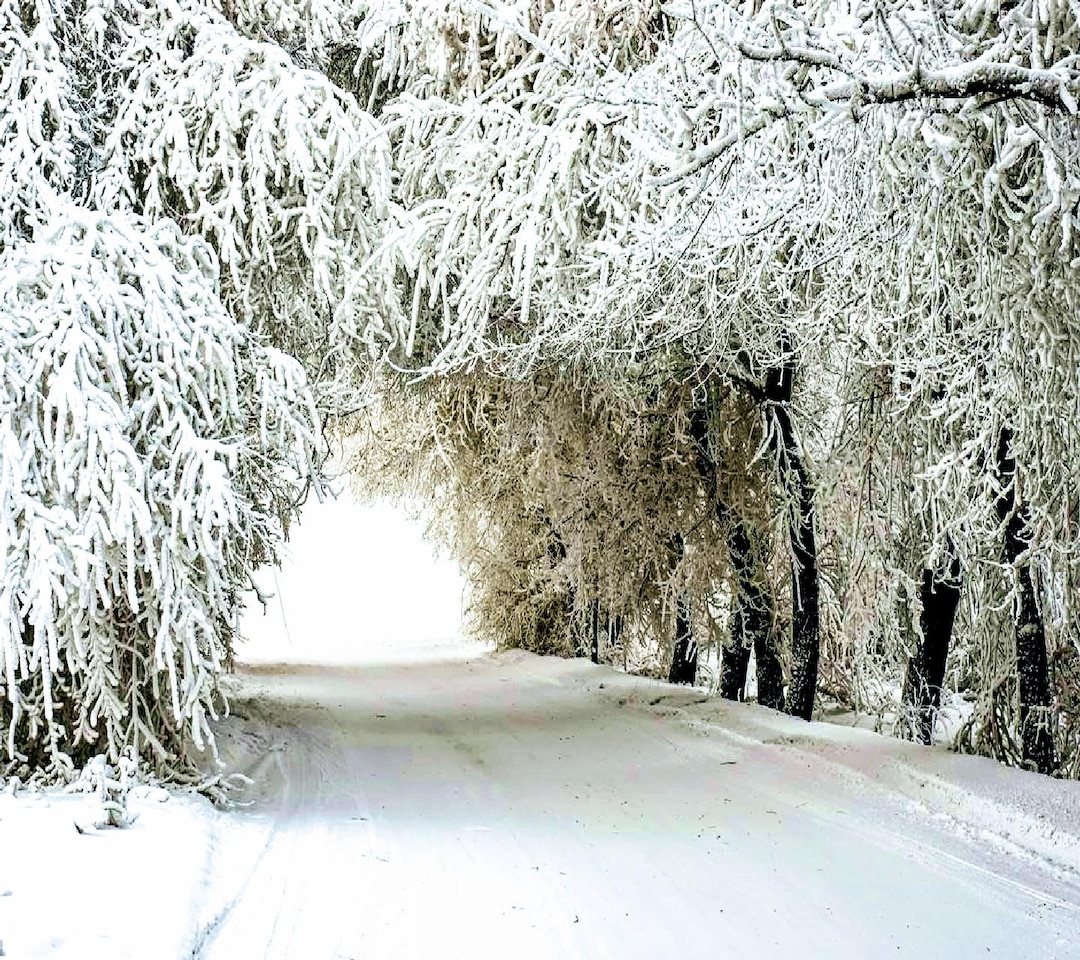 Winter Walk Pattern, Counted Cross Stitch, Pattern Keeper, Winter ...