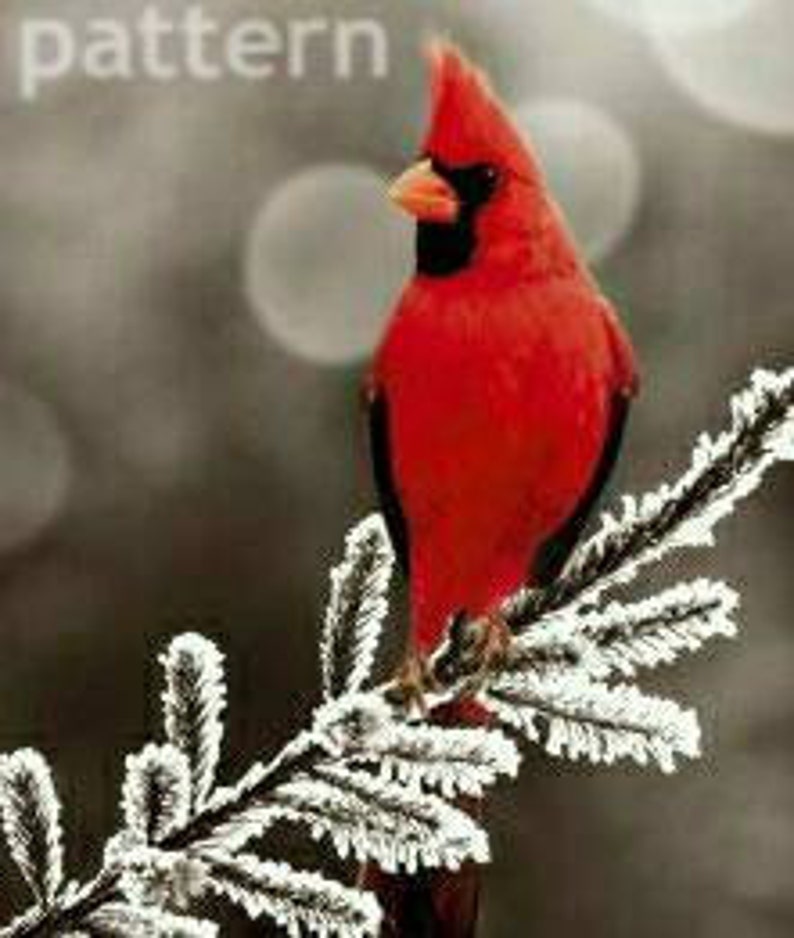 Winter Cardinal Cross Stitch Pattern, Cross Stitch Pattern, Counted ...