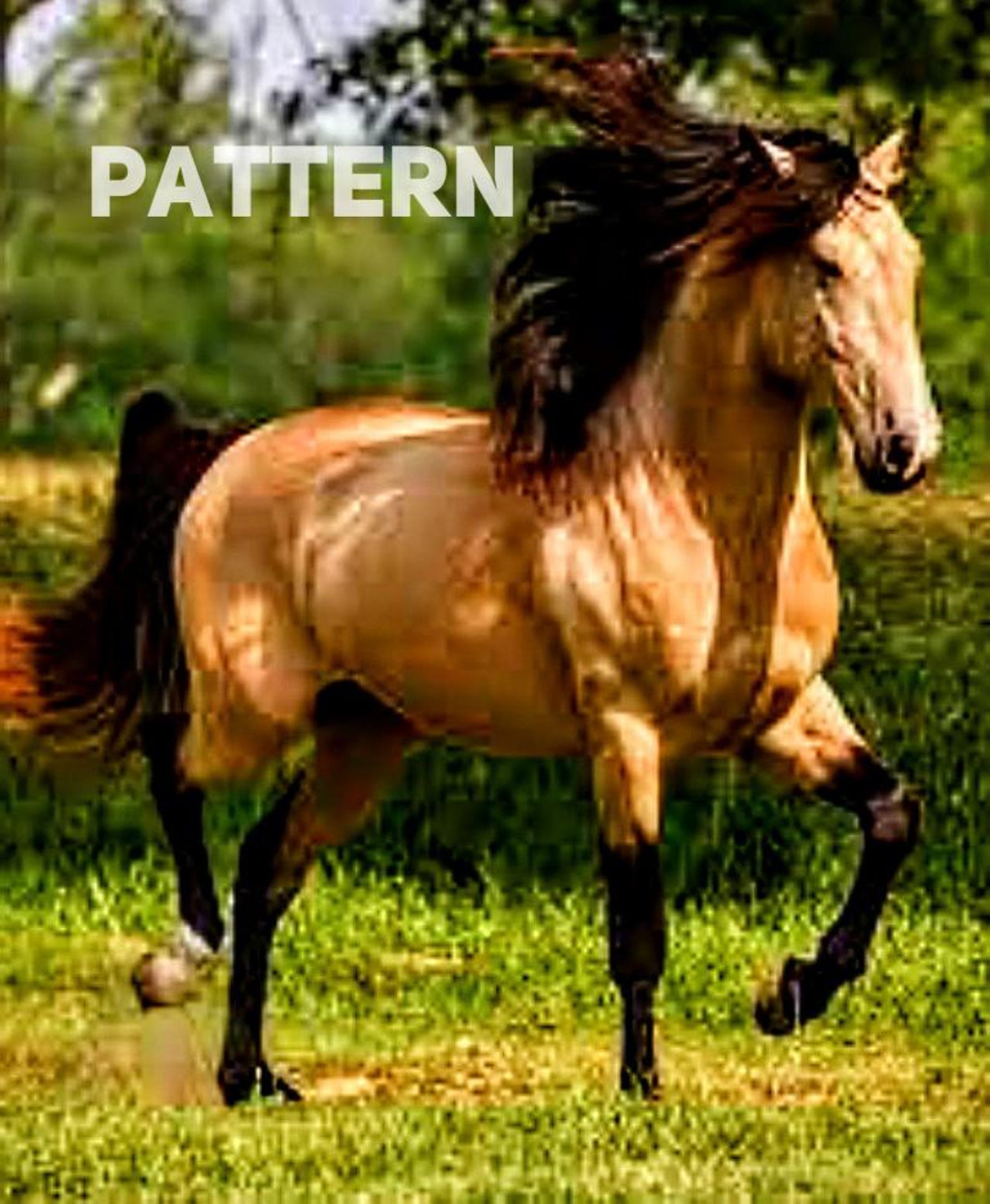 Buckskin Horse Pattern, Brown Horse Cross Stitch, Pdf Pattern, Counted ...
