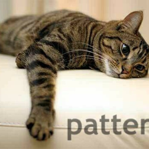 Tabby Cat Cross Stitch Pattern Instant PDF Download Kitty - Etsy