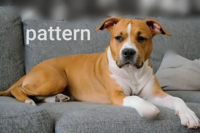 Pitbull Pattern, Pattern Keeper, Dog Cross Stitch, Pitbull Pattern ...