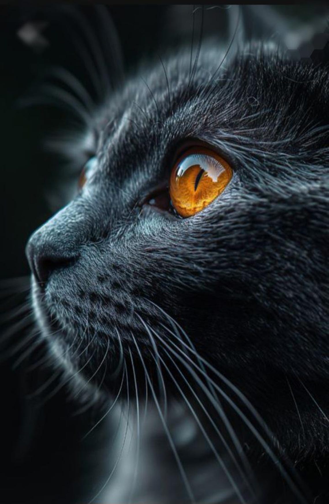 Cat Silhouette Cross Stitch Pattern, Cross Stitch Pattern, Pattern ...