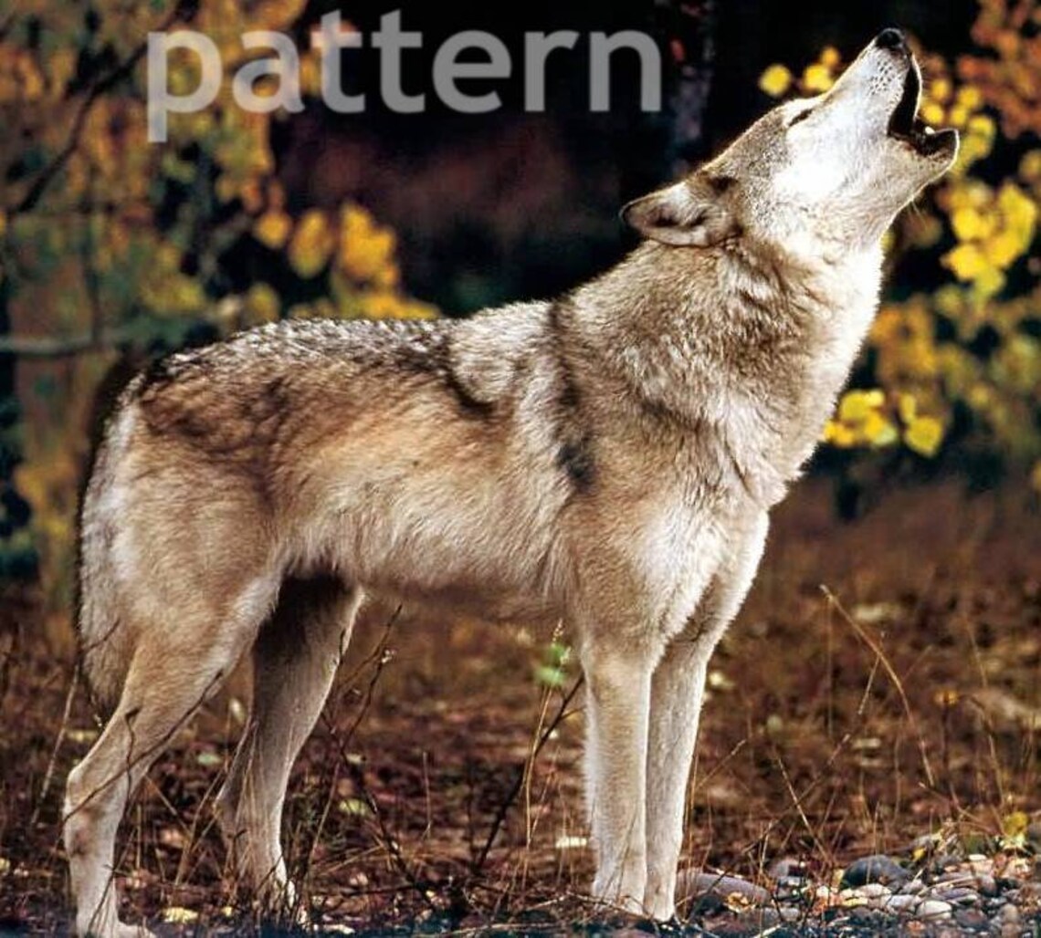 Howling Wolf Cross Stitch Pattern, Cross Stitch Pattern, Counted Cross ...