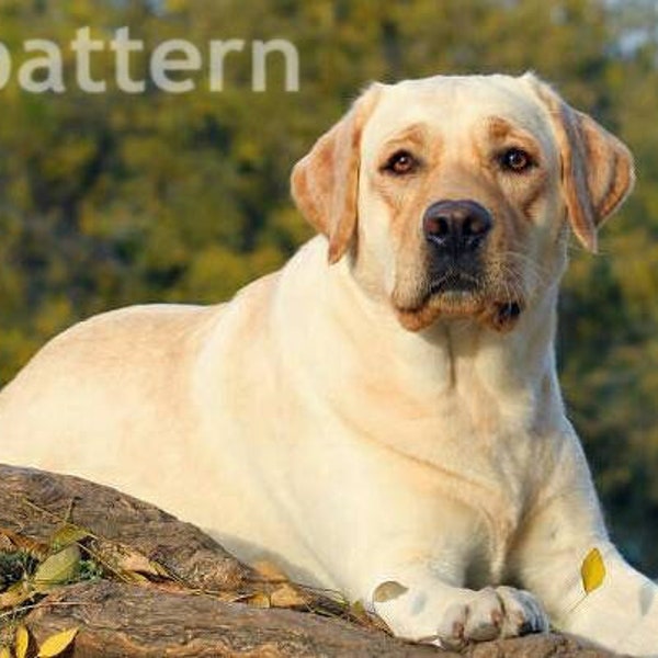 Yellow Lab Cross Stitch Pattern - Etsy