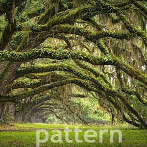 Old Tree Cross Stitch Pattern, Tree Cross Stitch, Cross Stitch Pattern ...