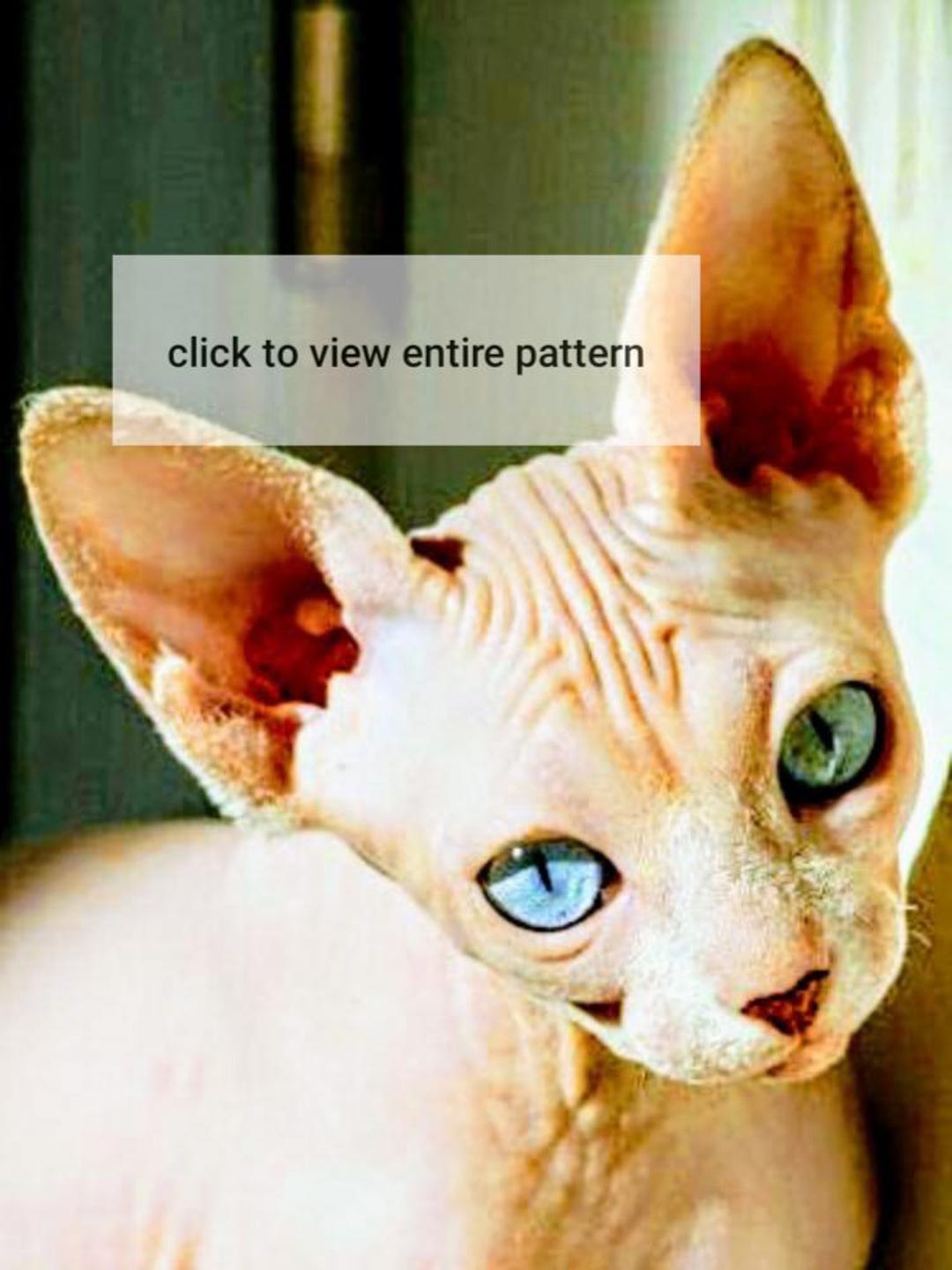 Blue Eyed Sphynx Cross Stitch, Counted Cross Stitch, Pattern Keeper ...