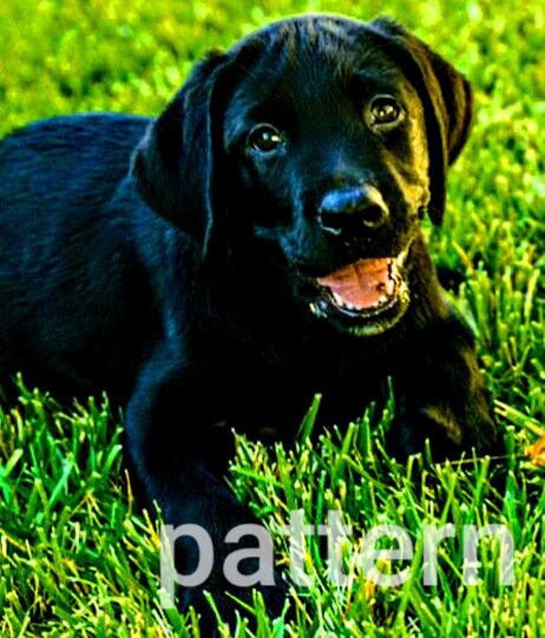 Black Lab Puppy Cross Stitch Pattern, Black Puppy Pattern, Cross Stitch ...